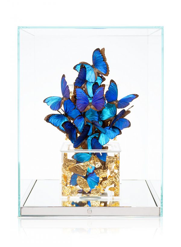 Roman Feral – GOLD LEAF AZUR